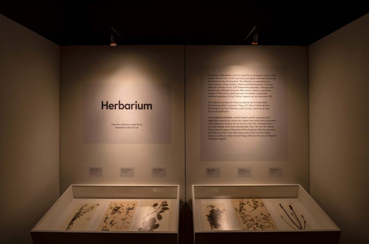 Alien Native | Heinrich & Palmer