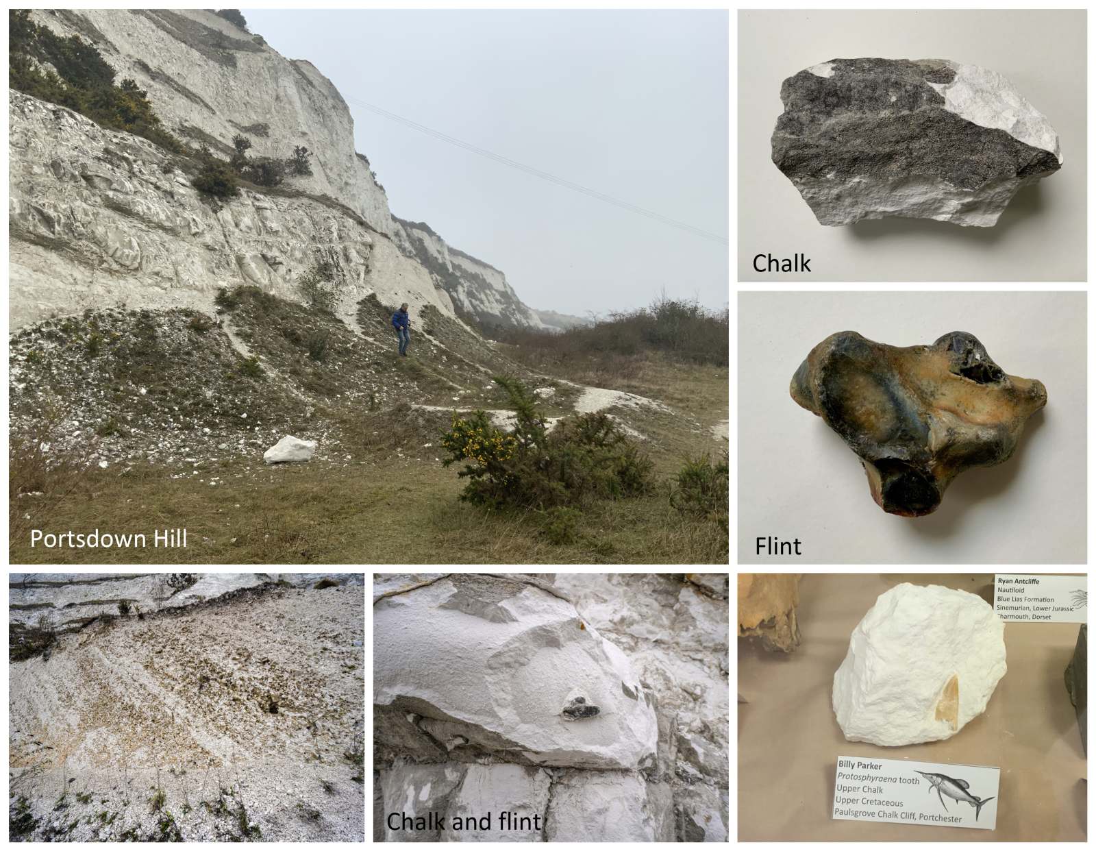 Development of Once a Sea | Heinrich & Palmer